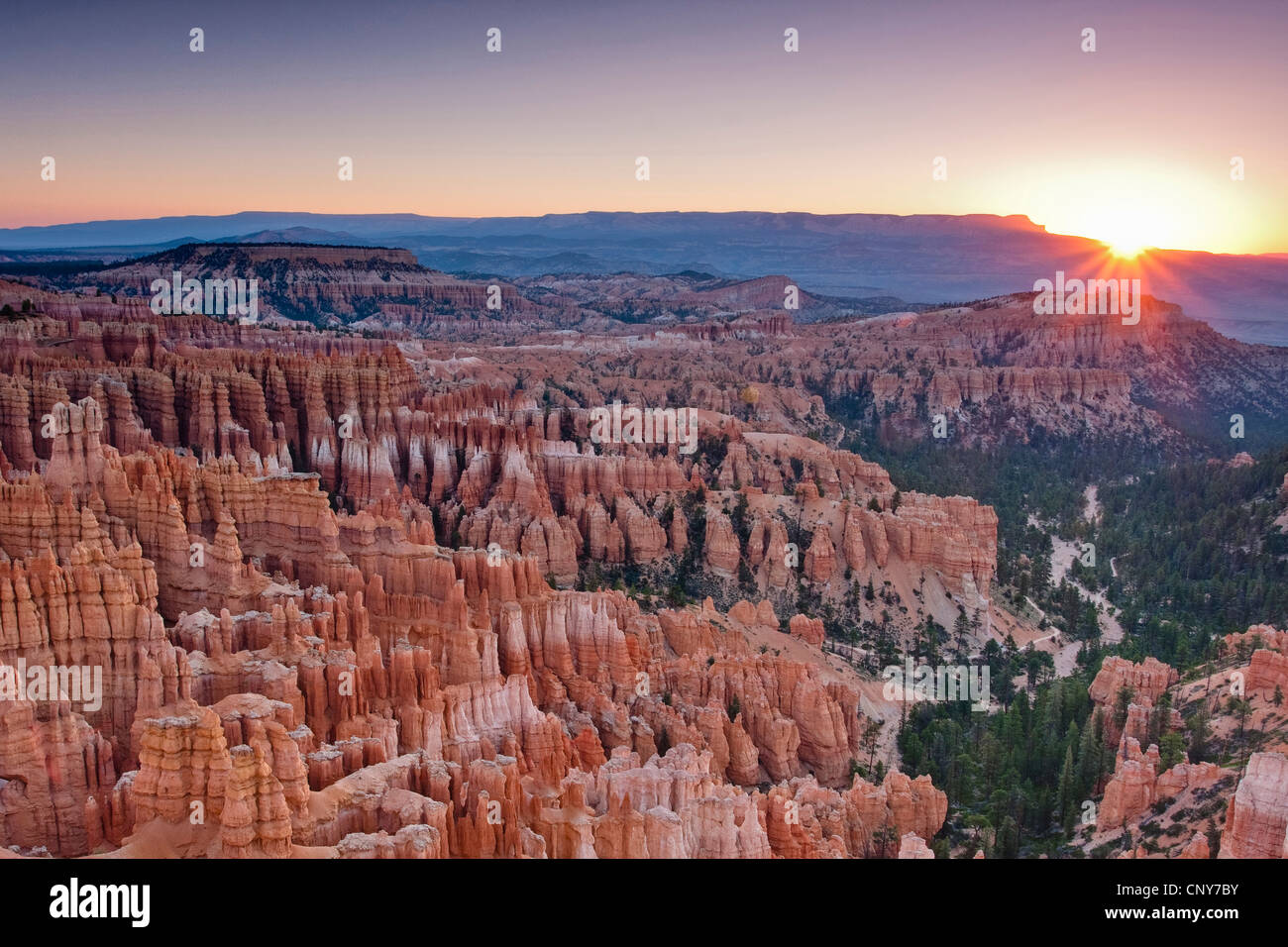 Bryce amphitheatre with Hoodoos of 'Silent City' at sunrise, view from ...