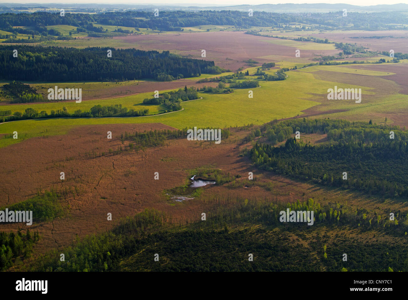 Murnauer Moos, Germany, Bavaria Stock Photo - Alamy