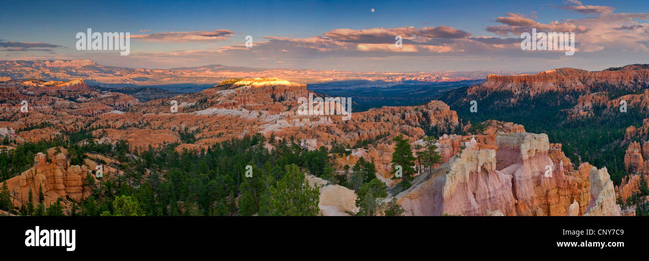 view of Bryce amphitheatre from Sunset point in the evening sun with ...