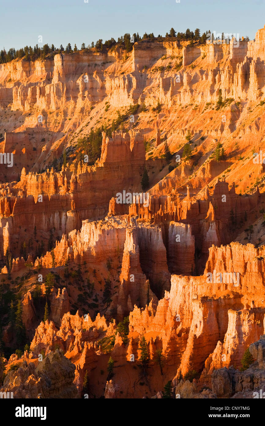 Point amphitheatre hi-res stock photography and images - Alamy