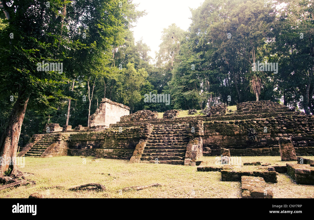 Ruins of Topoxte, Guatemala Stock Photo - Alamy