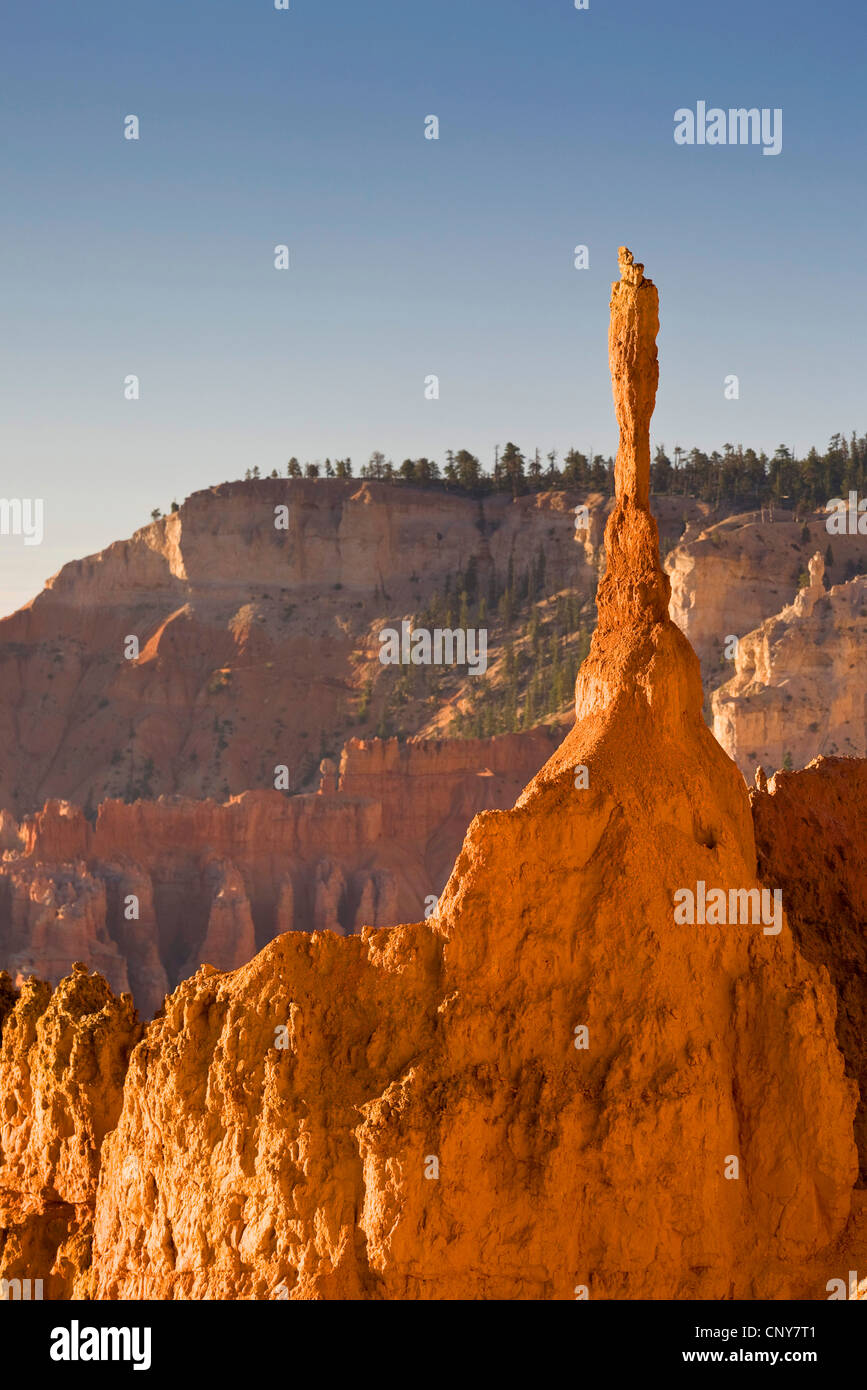 hoodoo 'the Sentinel', USA, Utah, Bryce Canyon National Park, Colorado ...