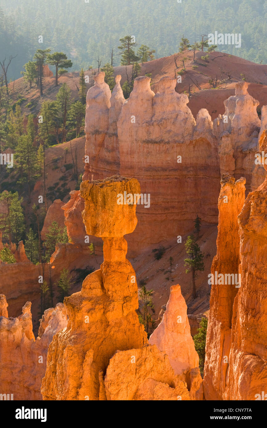 famous hoodoo 'Thor's Hammer' in the giant natural amphitheater of ...