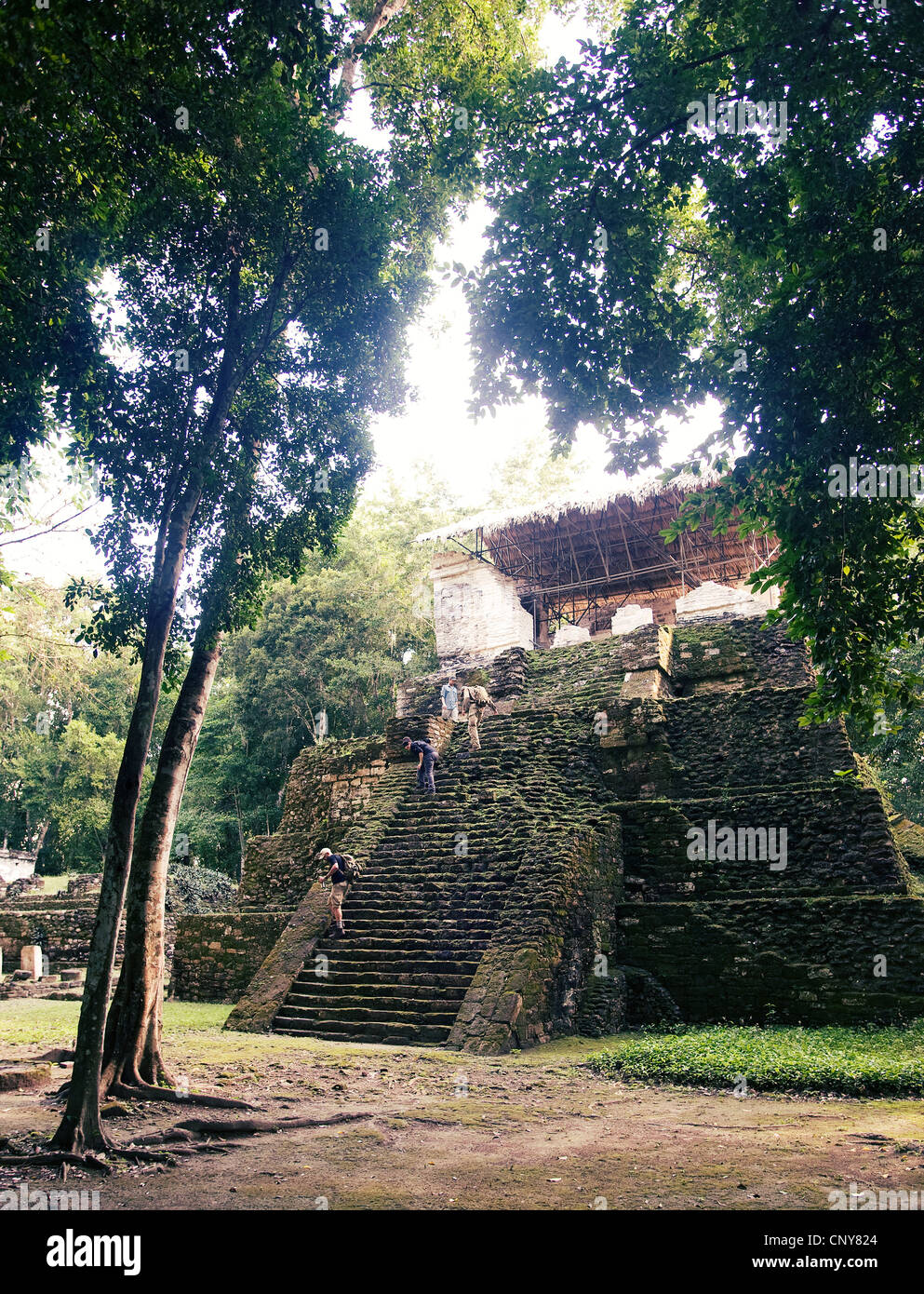 Ruins of Topoxte, Guatemala Stock Photo - Alamy