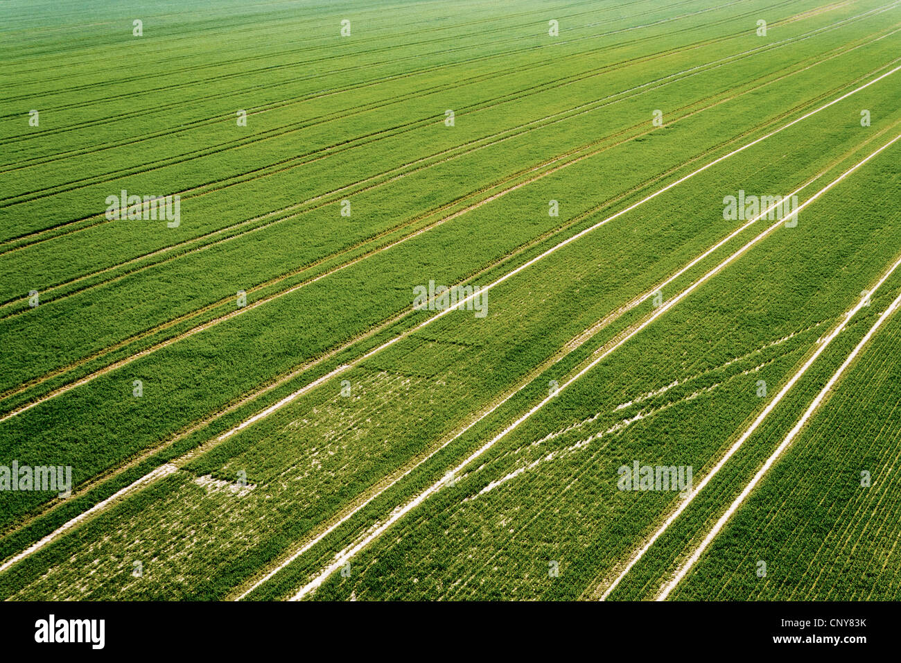 Regular field hi-res stock photography and images - Alamy