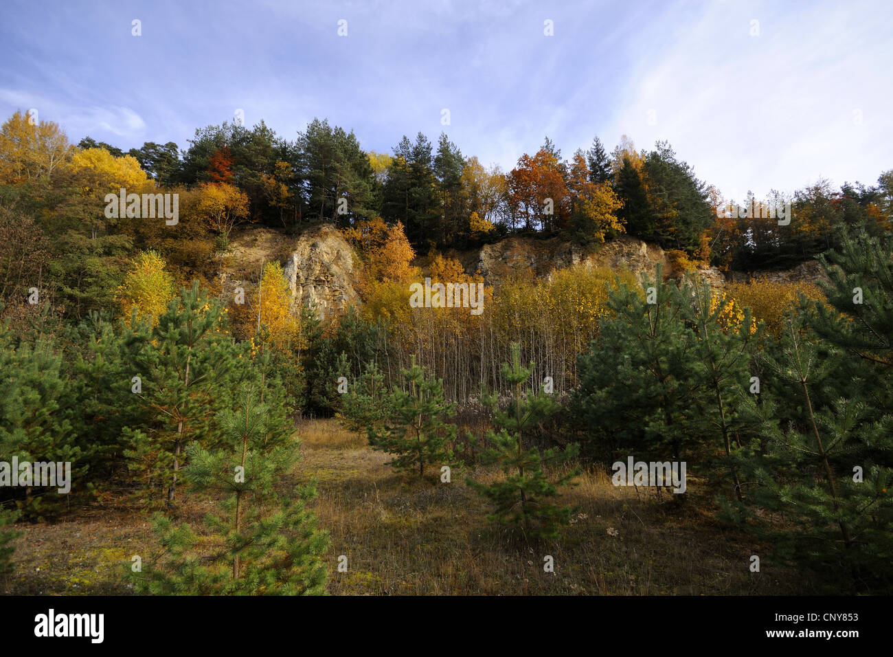 disused overgrown stone quarry in autumn, Germany, Bavaria, Upper ...