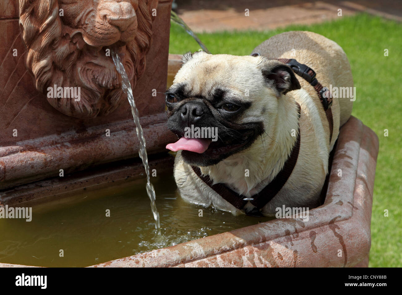 Central fountain w hi-res stock photography and images - Alamy