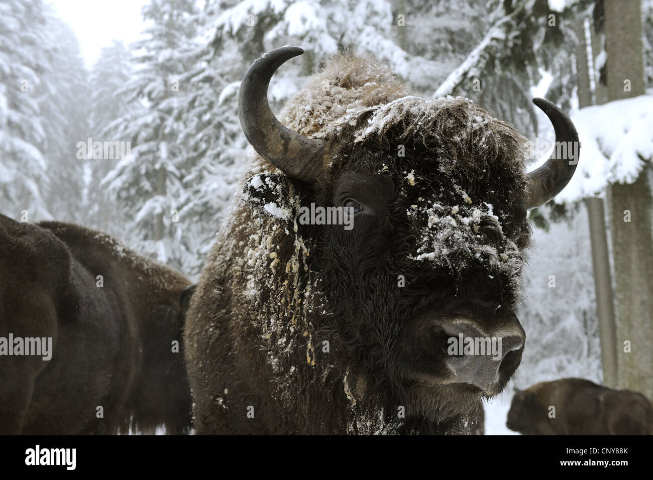 Horiuontal hi-res stock photography and images - Alamy
