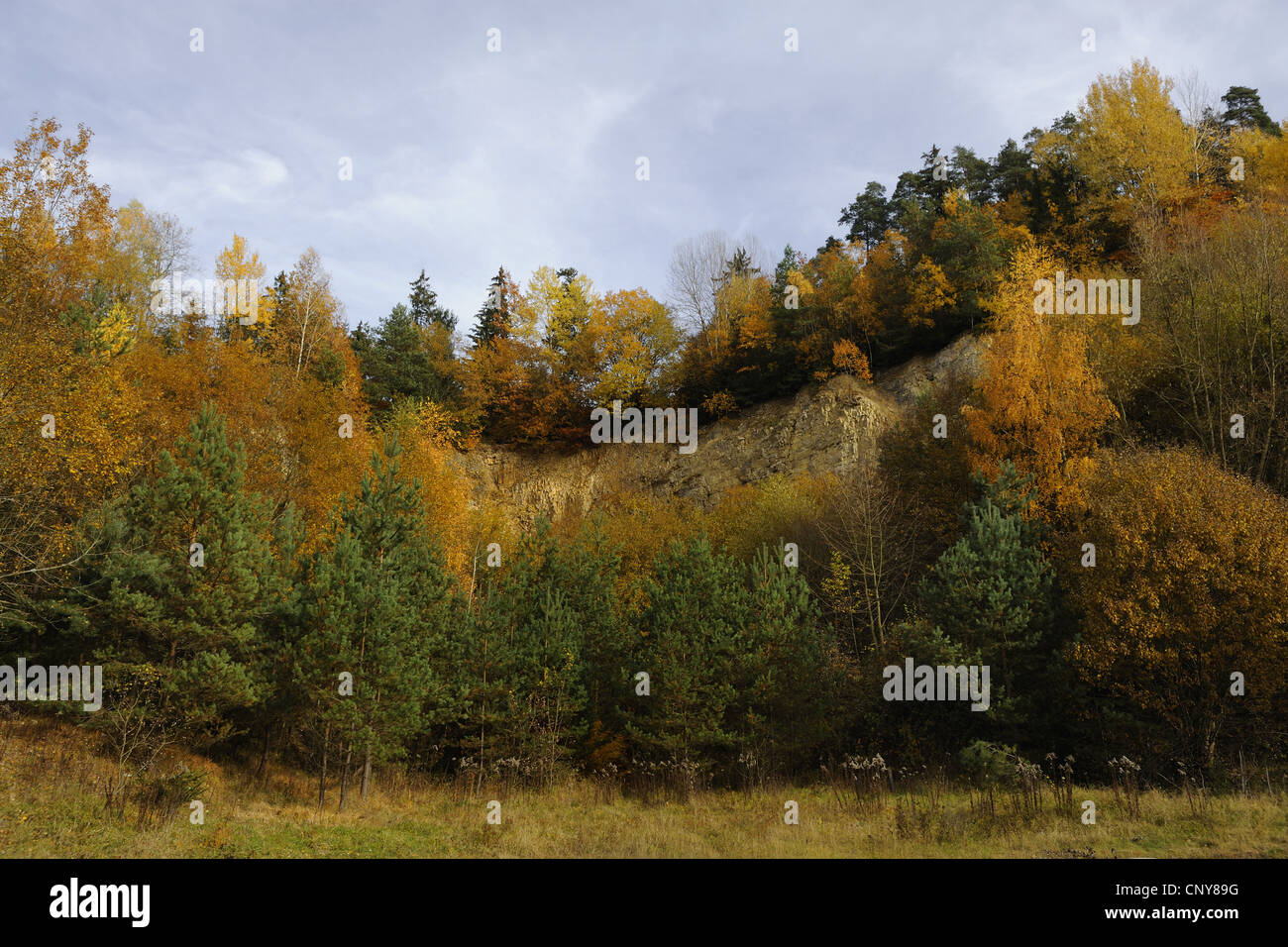 Disused quarry pit hi-res stock photography and images - Alamy