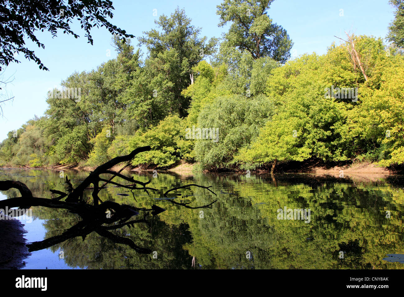 Rhine river scenery hi-res stock photography and images - Alamy