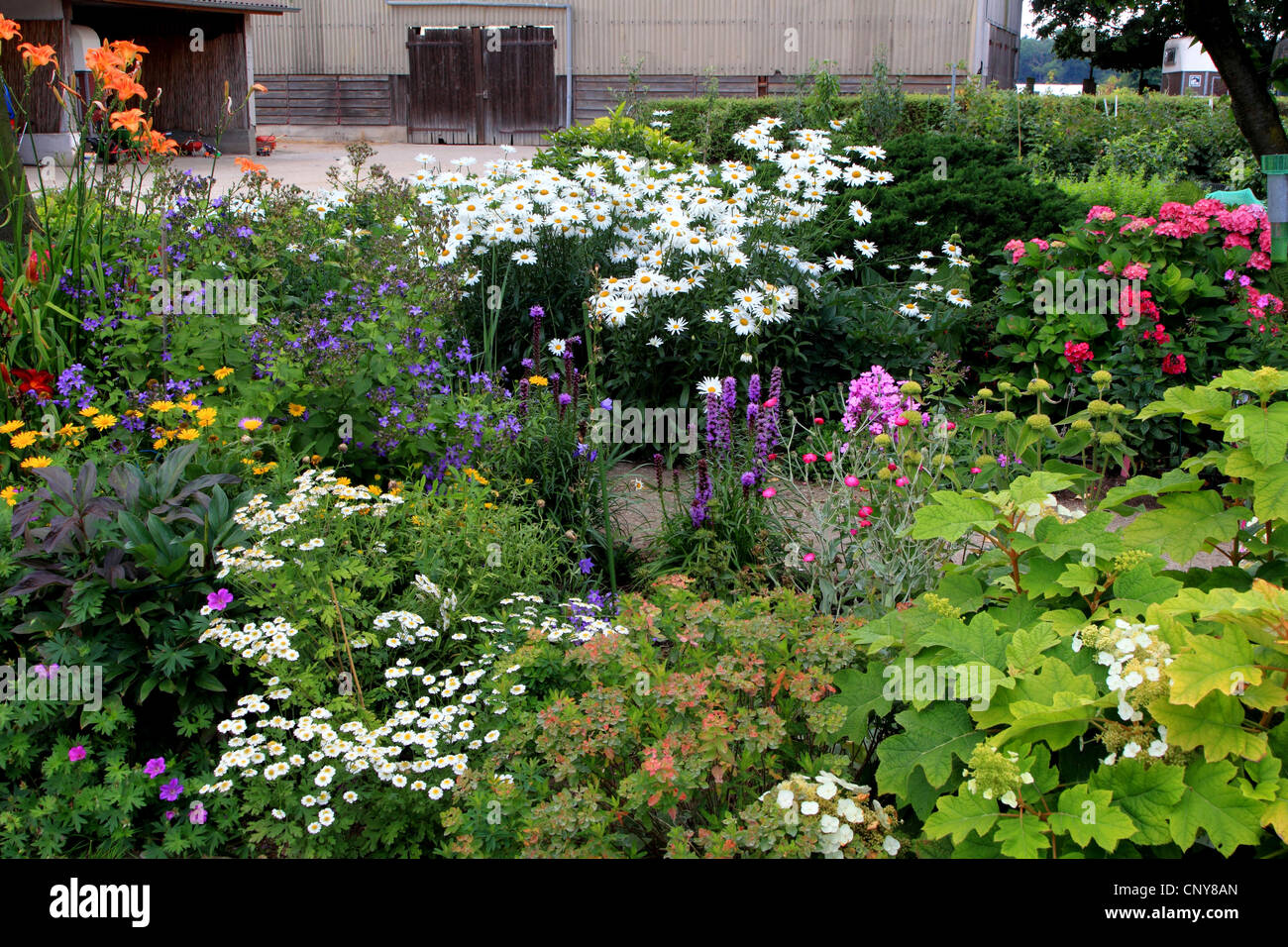 blooming rural garden, Germany Stock Photo - Alamy