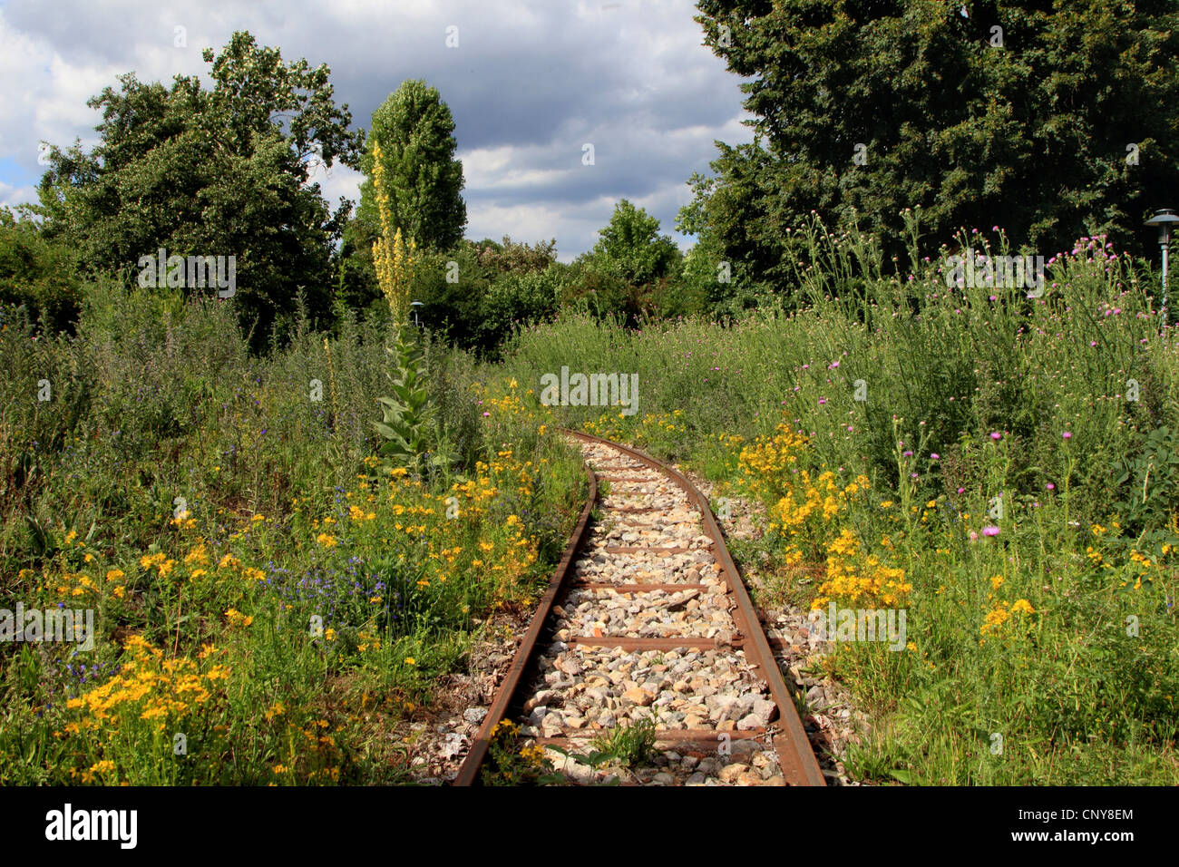 Overgrown railway track hi-res stock photography and images - Alamy