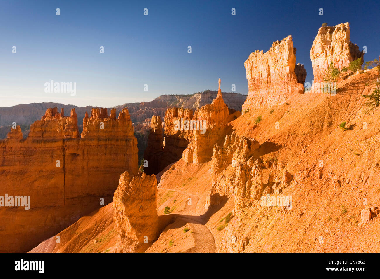 eroded rock formations, 'the Sentinel' hoodoo on the left, USA, Utah ...