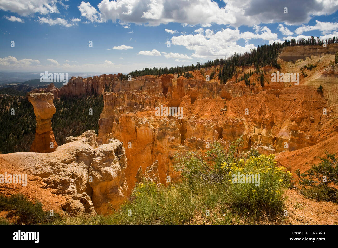 vie from viewpoint Agua Canyon, Hoodo 'The Hunter' on the left, 'The ...
