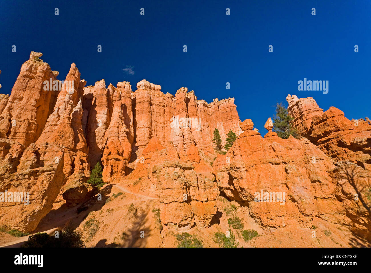 eroded rock formations, hoodoos, in Bryce Canyon, USA, Utah, Bryce ...