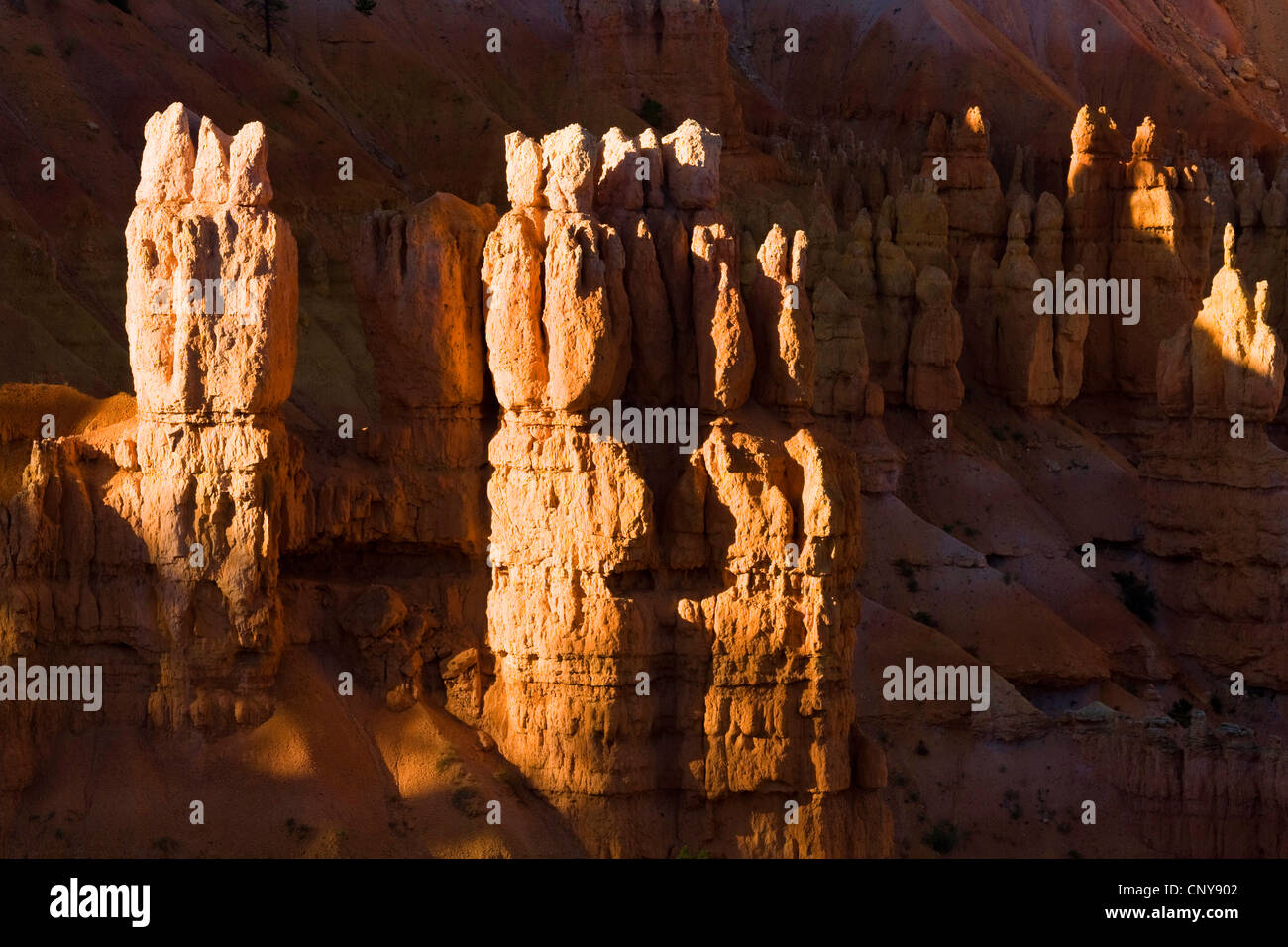 weirdly shaped rock formations, hoodoos in the light of afternoon sun ...