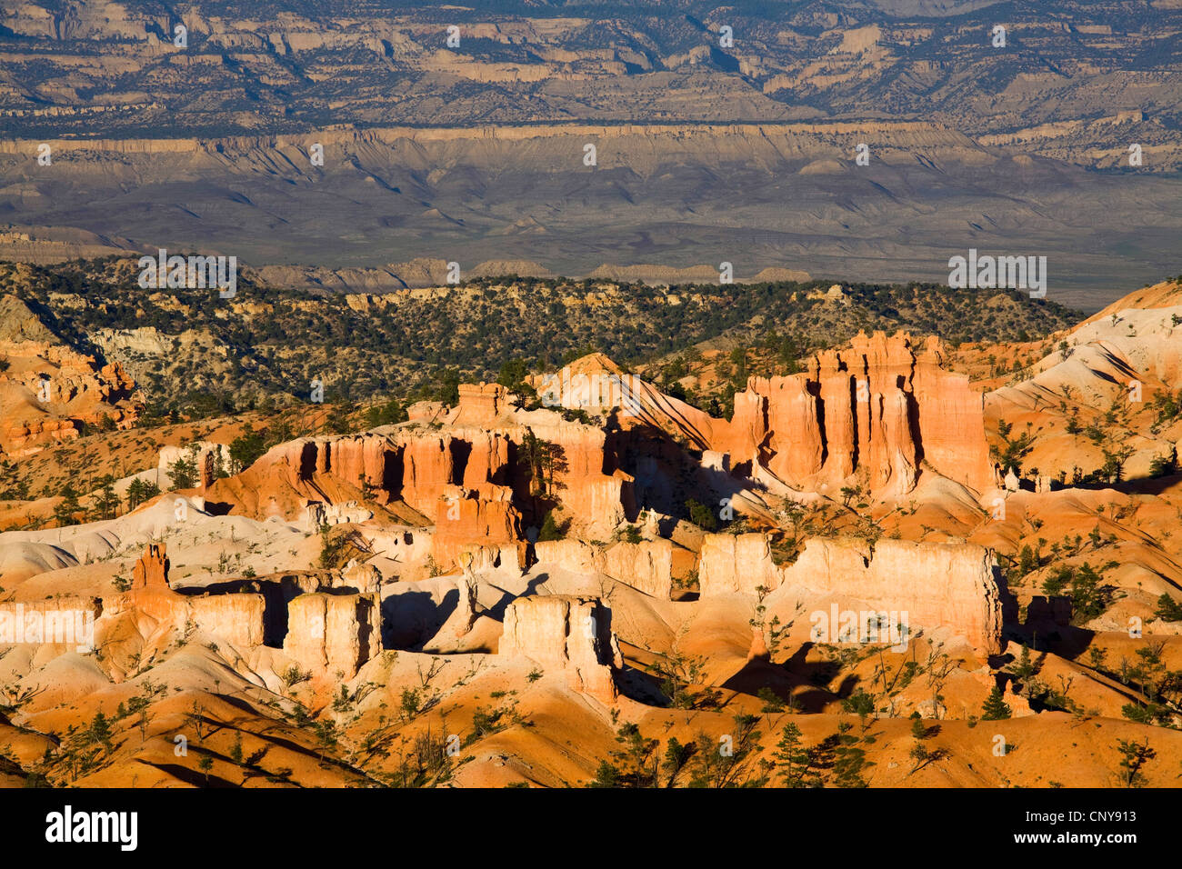 view from Sunset Point to hoodoos and weirdly shaped rock formations of ...
