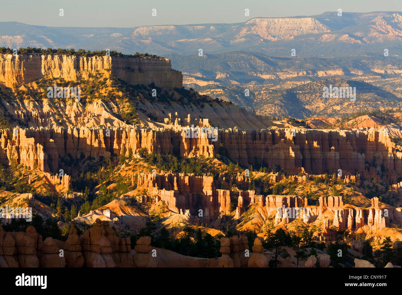 view from Sunset Point to hoodoos and weirdly shaped rock formations of ...