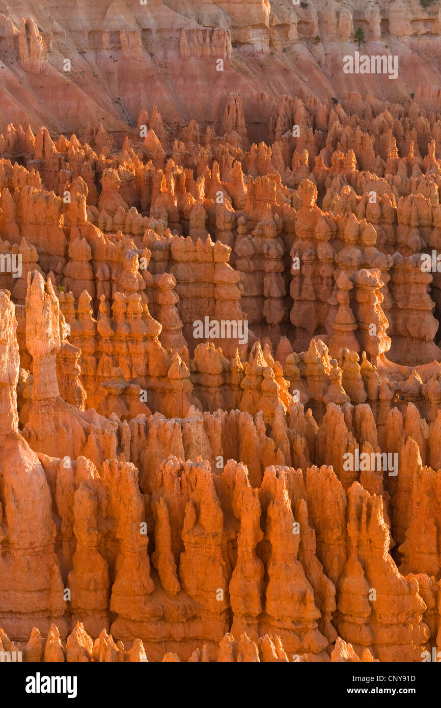 view from Inspiration Point to weirdly shaped hoodoos of 'Silent City ...