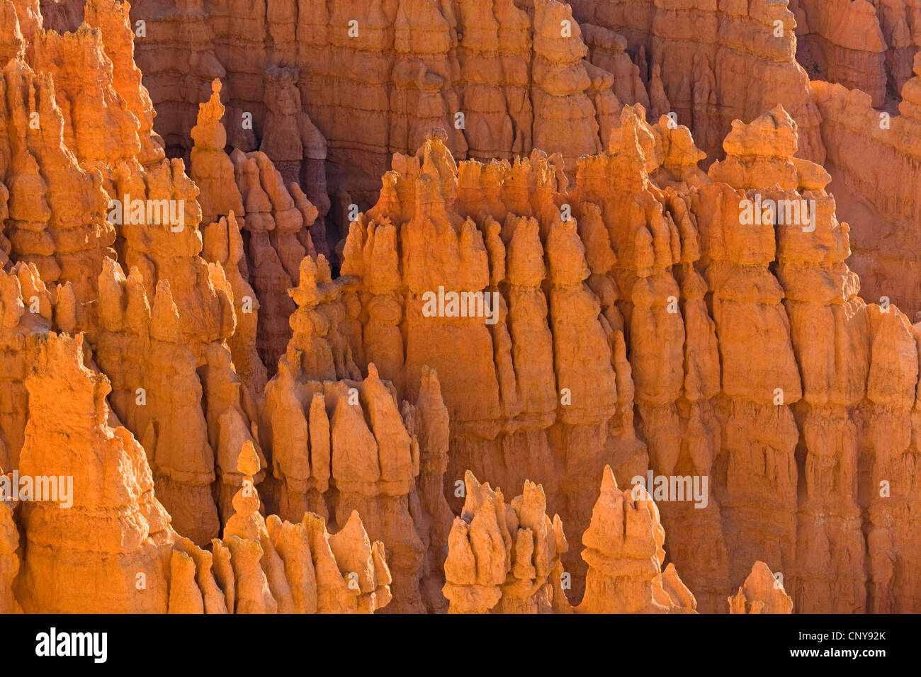 view from Inspiration Point to weirdly shaped hoodoos of 'Silent City ...