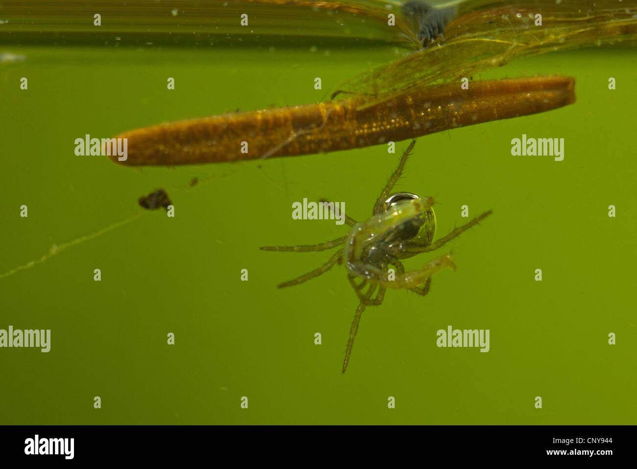 Catching up on world hi-res stock photography and images - Alamy