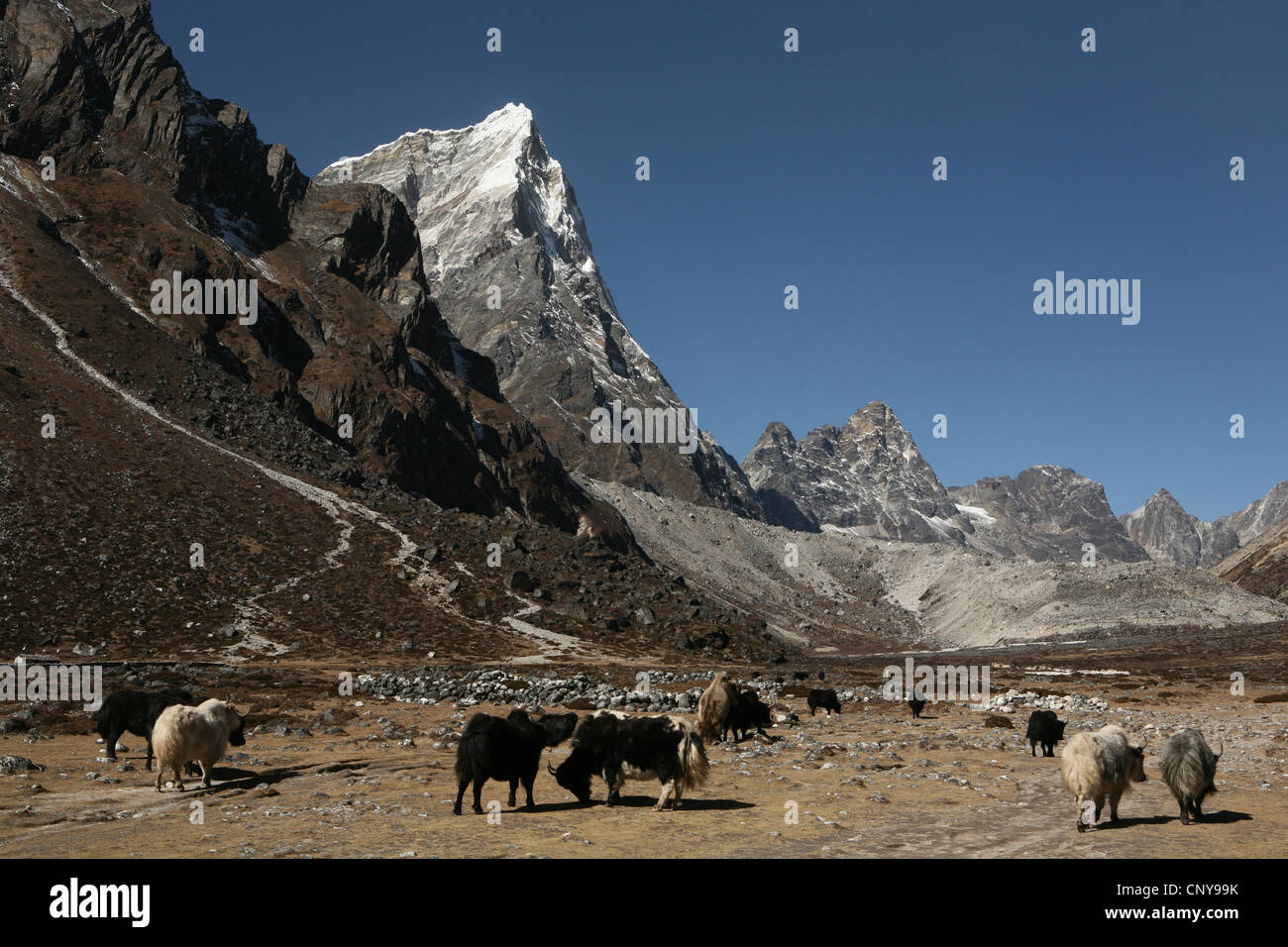 Mount Taboche (6,542 m) in Khumbu region in the Himalayas, Nepal ...