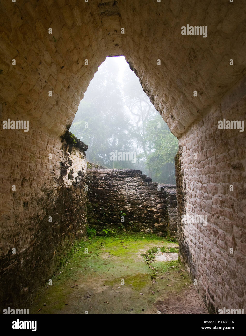 Cahal Pech Maya ruins, belize Stock Photo - Alamy