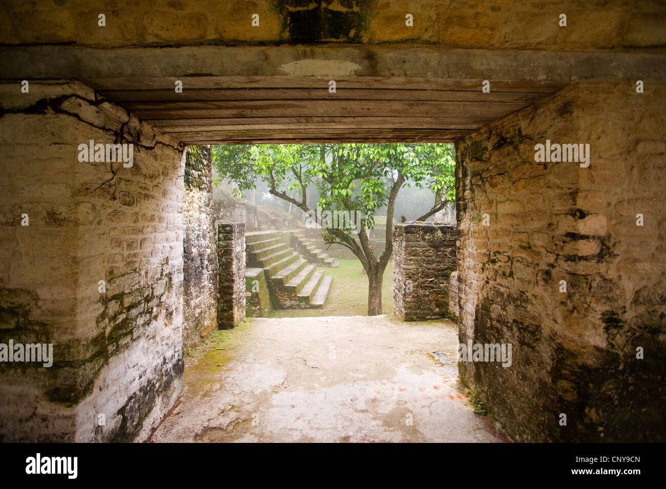 Cahal Pech Maya ruins, belize Stock Photo - Alamy