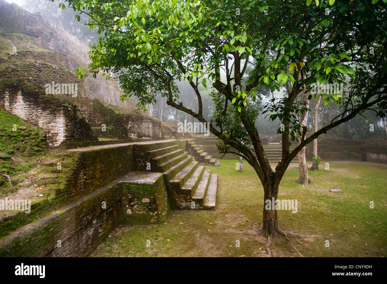 Cahal Pech Maya ruins, belize Stock Photo - Alamy