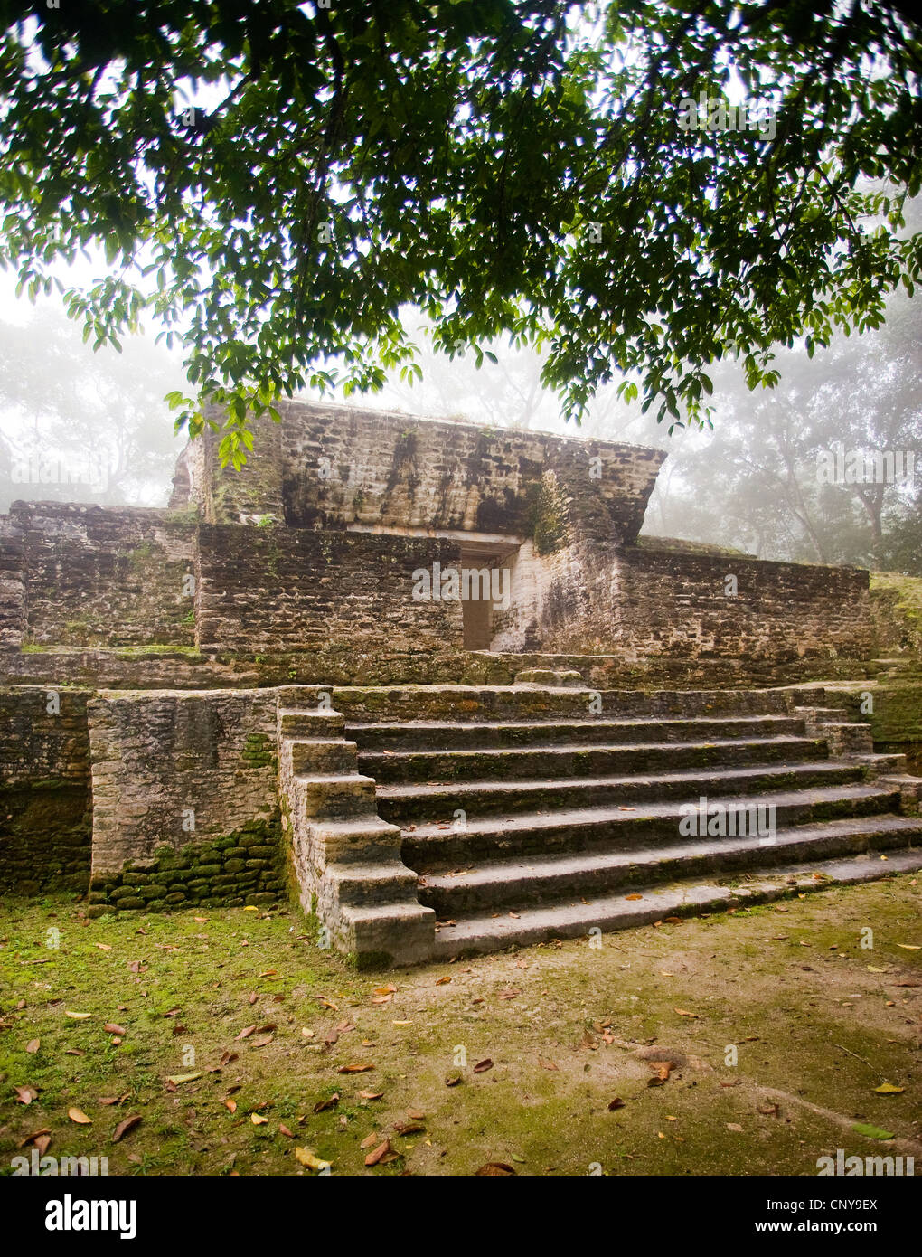 Cahal Pech Maya ruins, belize Stock Photo - Alamy