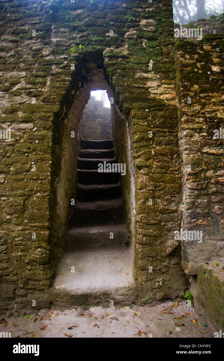 Cahal Pech Maya ruins, belize Stock Photo - Alamy
