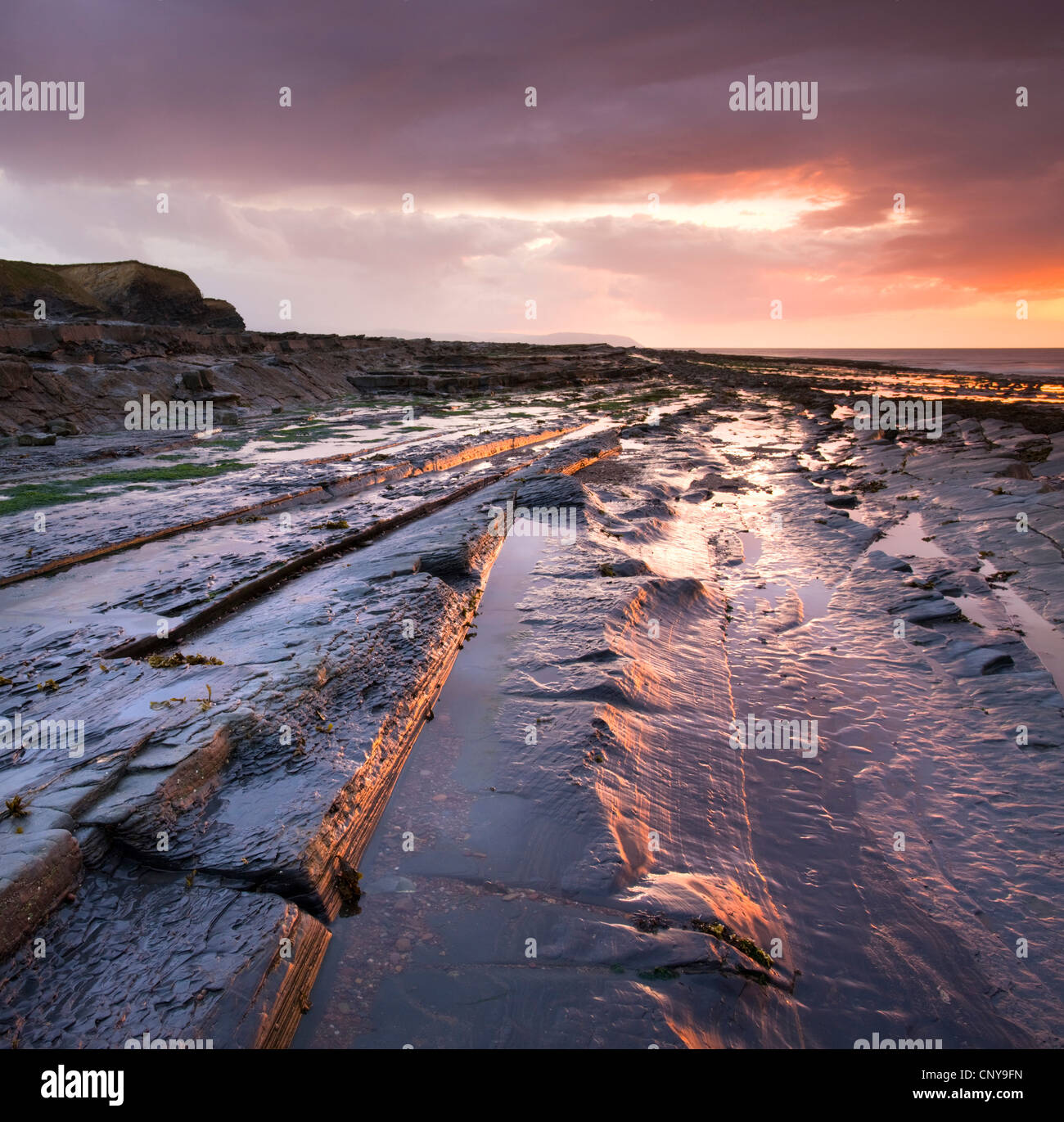 Horiztonal rock strata on Kilve Beach on the North Somerset coast Stock ...