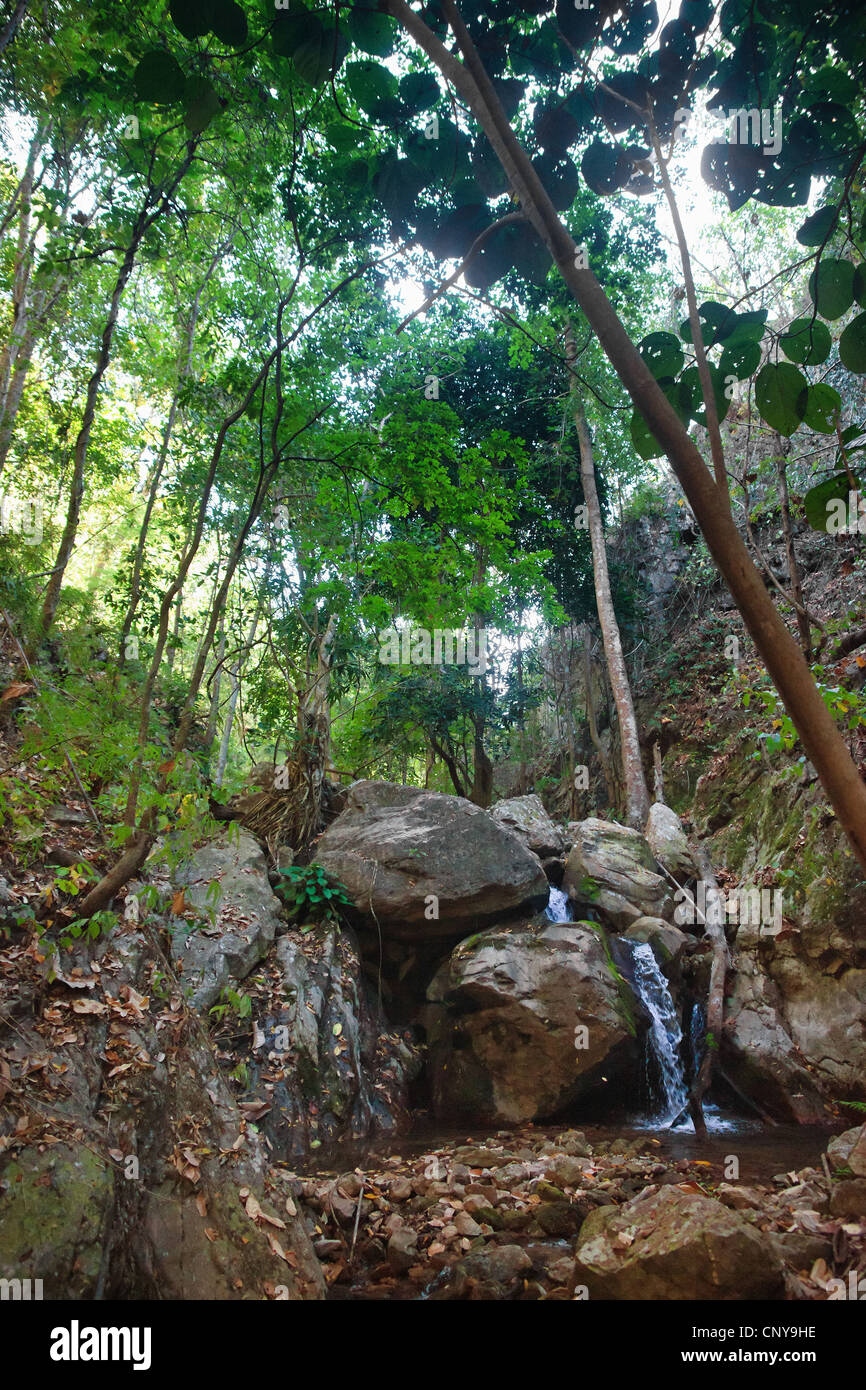 small waterfall cascade in the stream in northern thailand Stock Photo ...