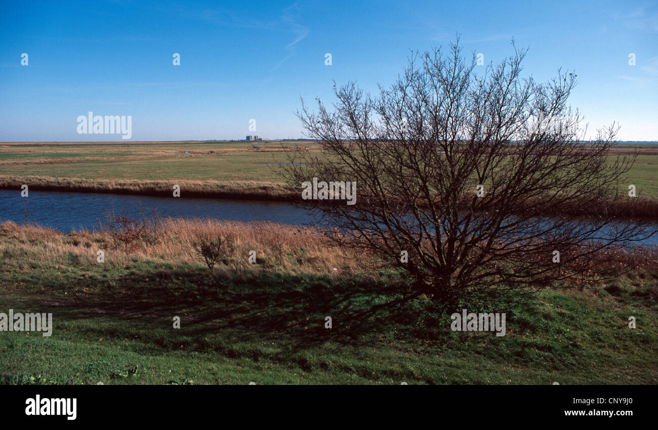 Blackwater river marshes essex hi-res stock photography and images - Alamy