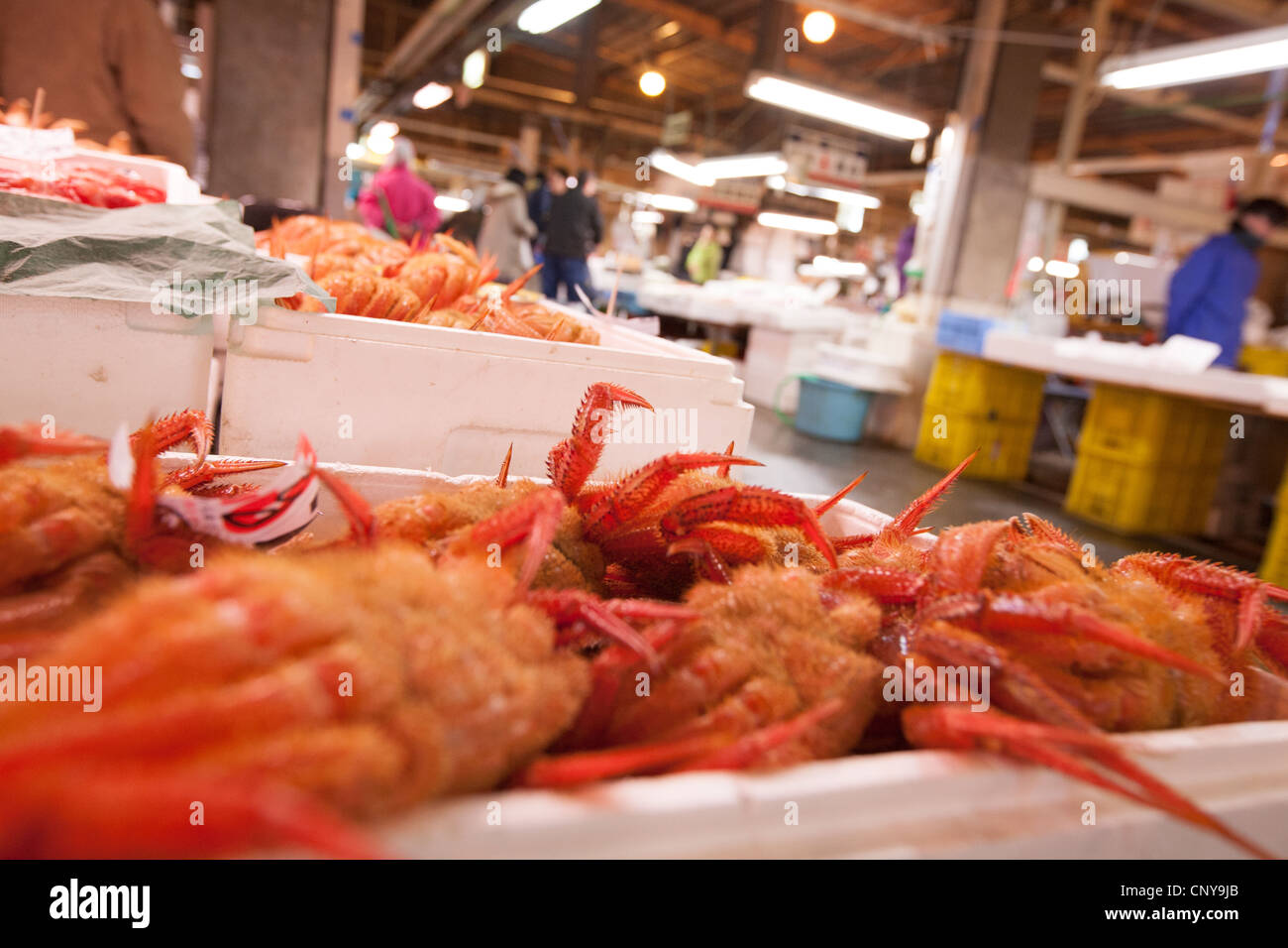 Scenes from inside the Shiogama fish market, in Shiogama town, near ...