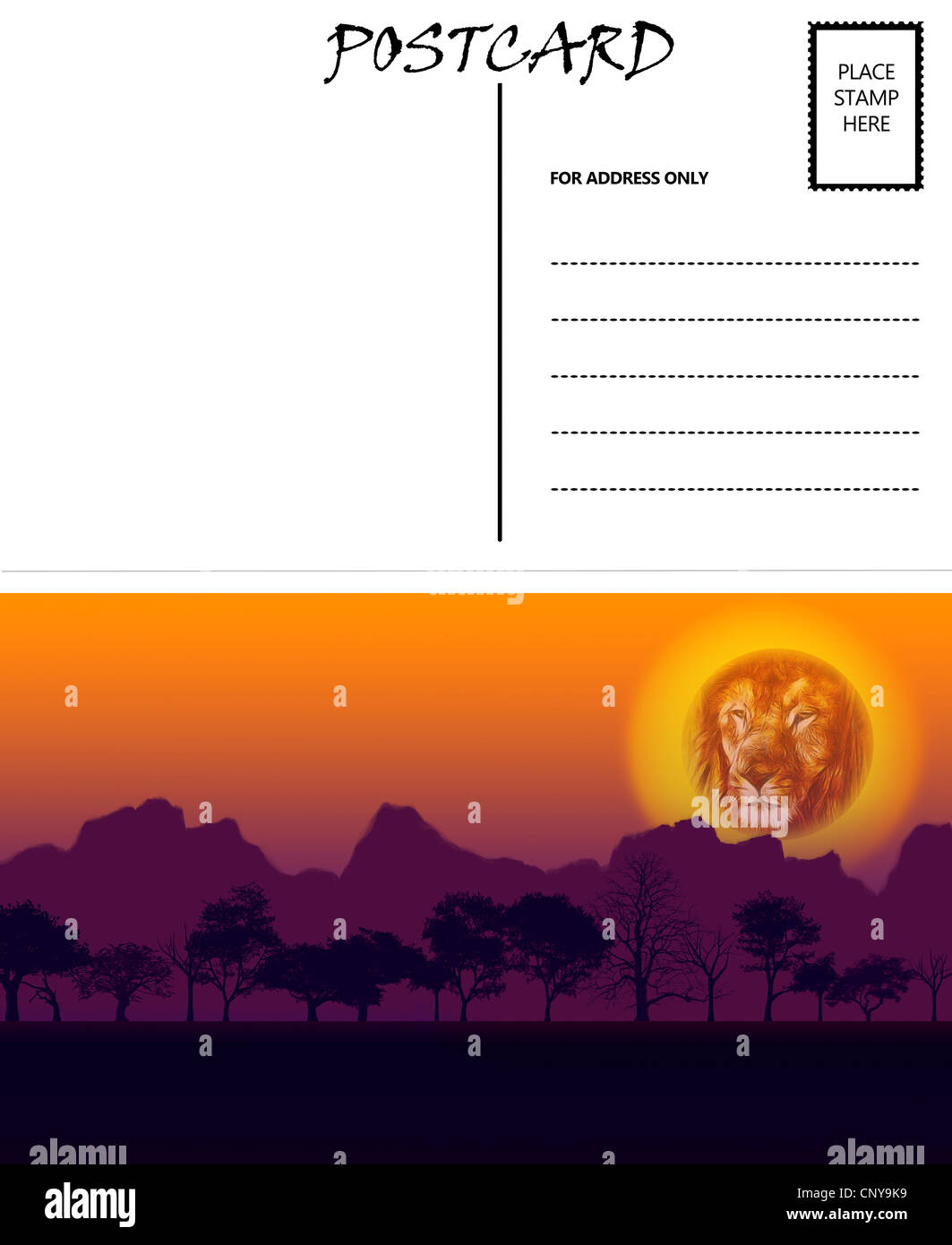 White Empty Postcard Template with Copy Area with Africa Lion Sunset ...