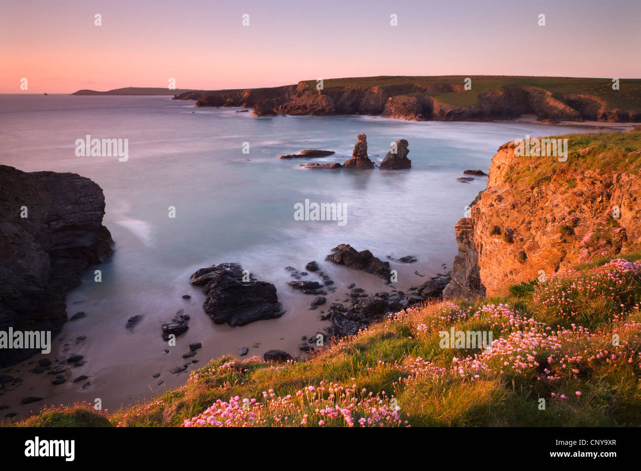 Porthcothan Bay on a spring evening, Cornwall, England Stock Photo - Alamy