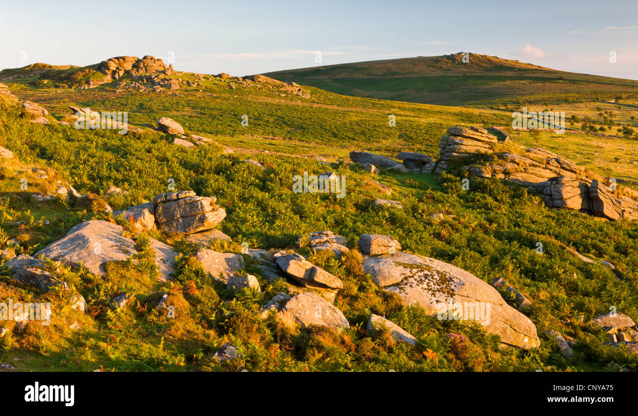Gorgeous low evening sunshine lights up the rocky moorland leading to ...