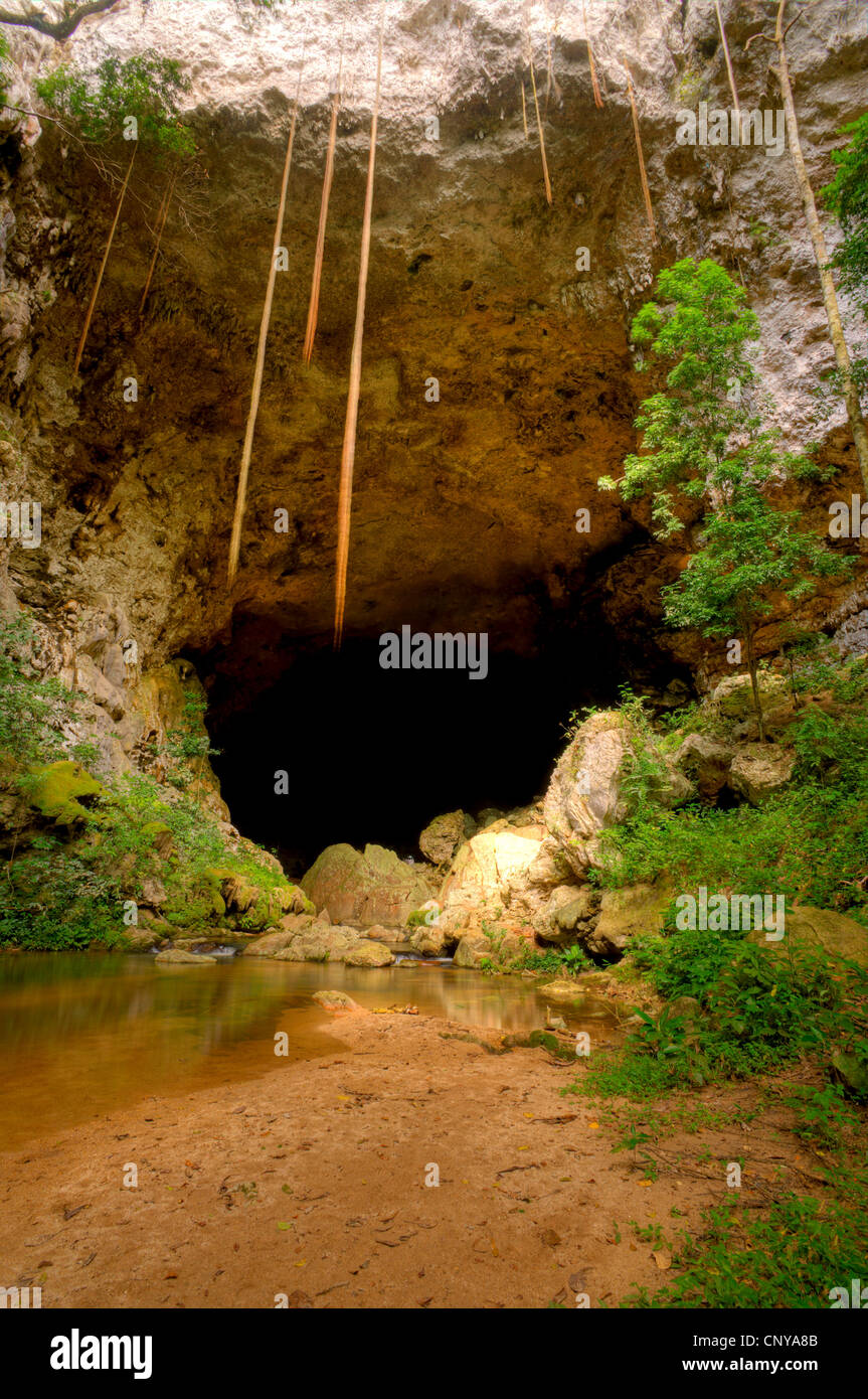 Rio frio cave, belize Stock Photo - Alamy
