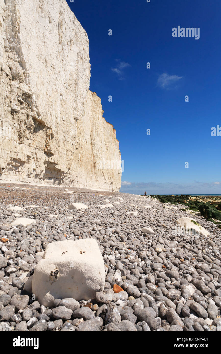 Chalk cliffs and beach at Beachy Head, East Sussex, England Stock Photo ...