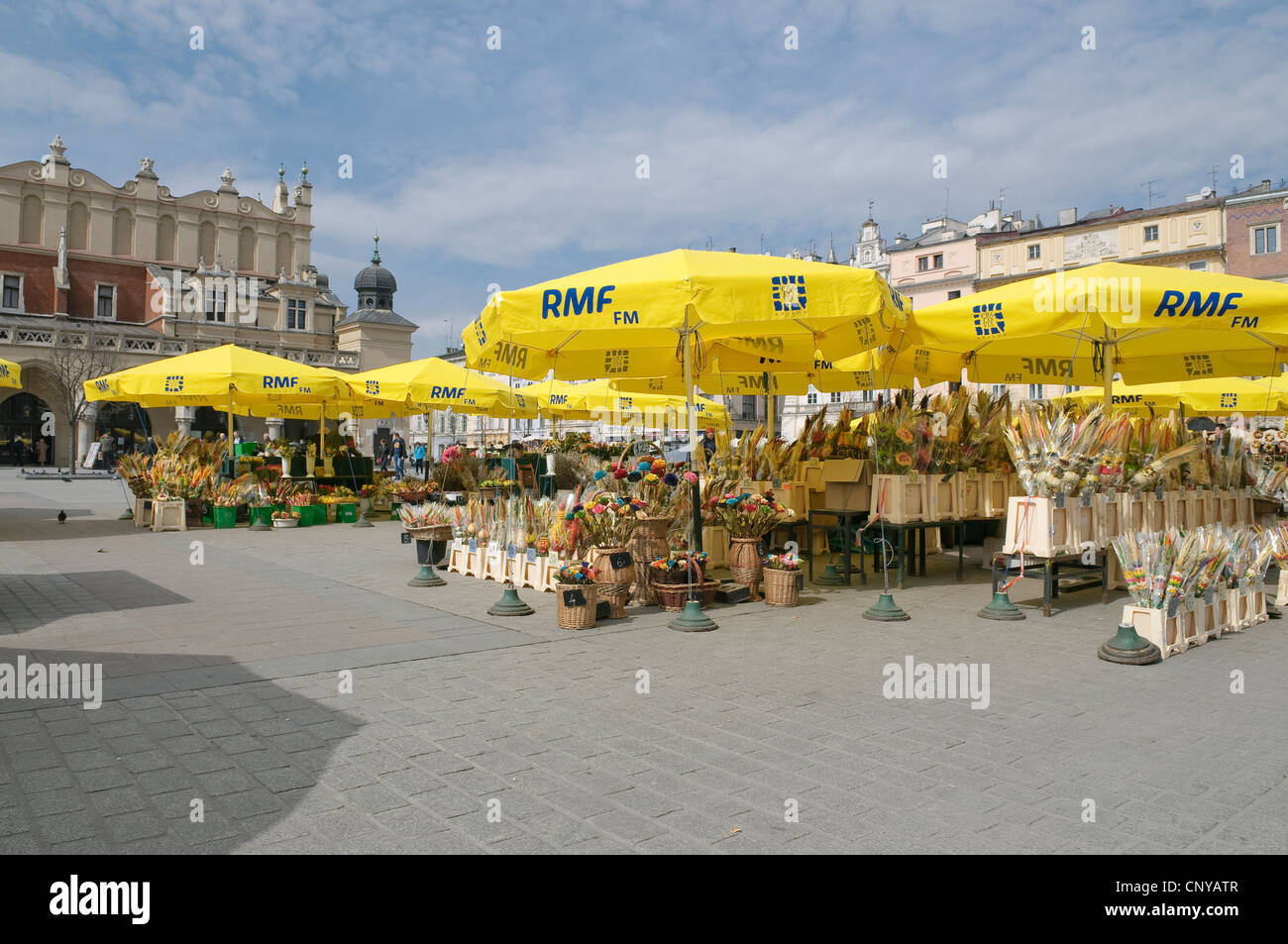 Poland flower hi-res stock photography and images - Alamy