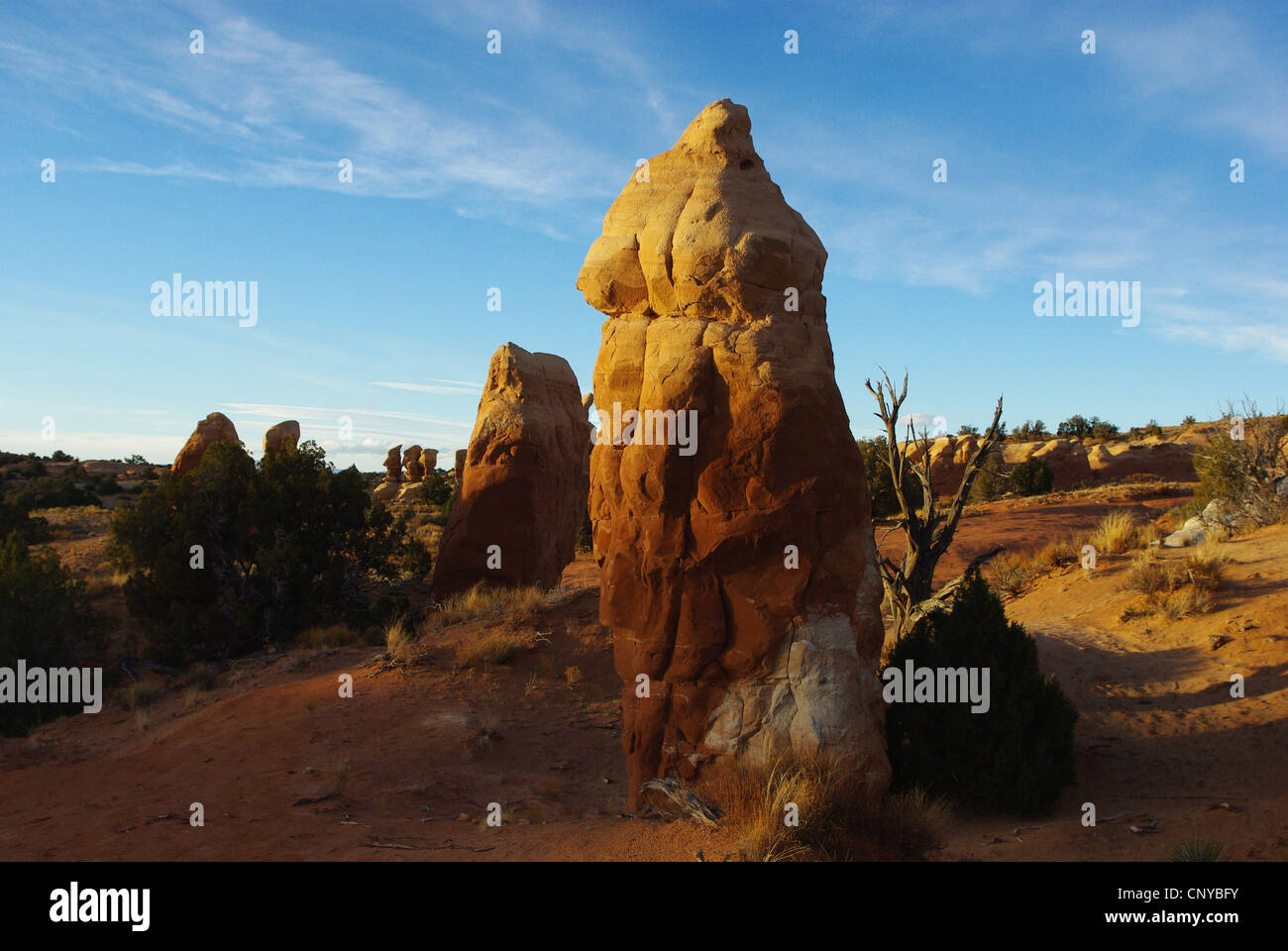 Rock towers in the early morning, Devils Garden, Utah Stock Photo - Alamy