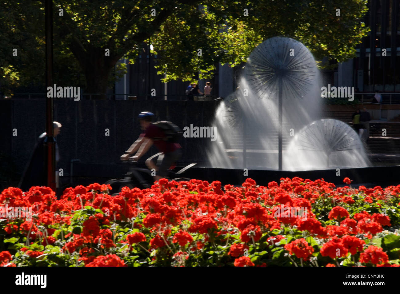 A cyclist in Victoria Square with Ferrier Fountains in the background ...