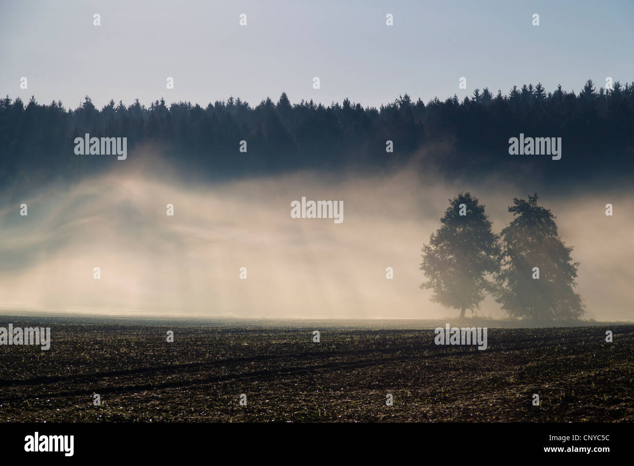 Germany field scenery silhouette hi-res stock photography and images ...