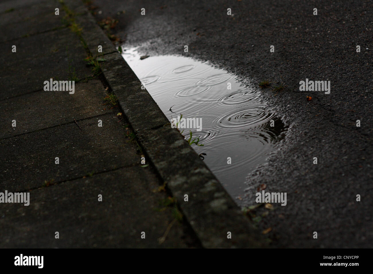 A puddle of water with beautiful rings in it Stock Photo - Alamy