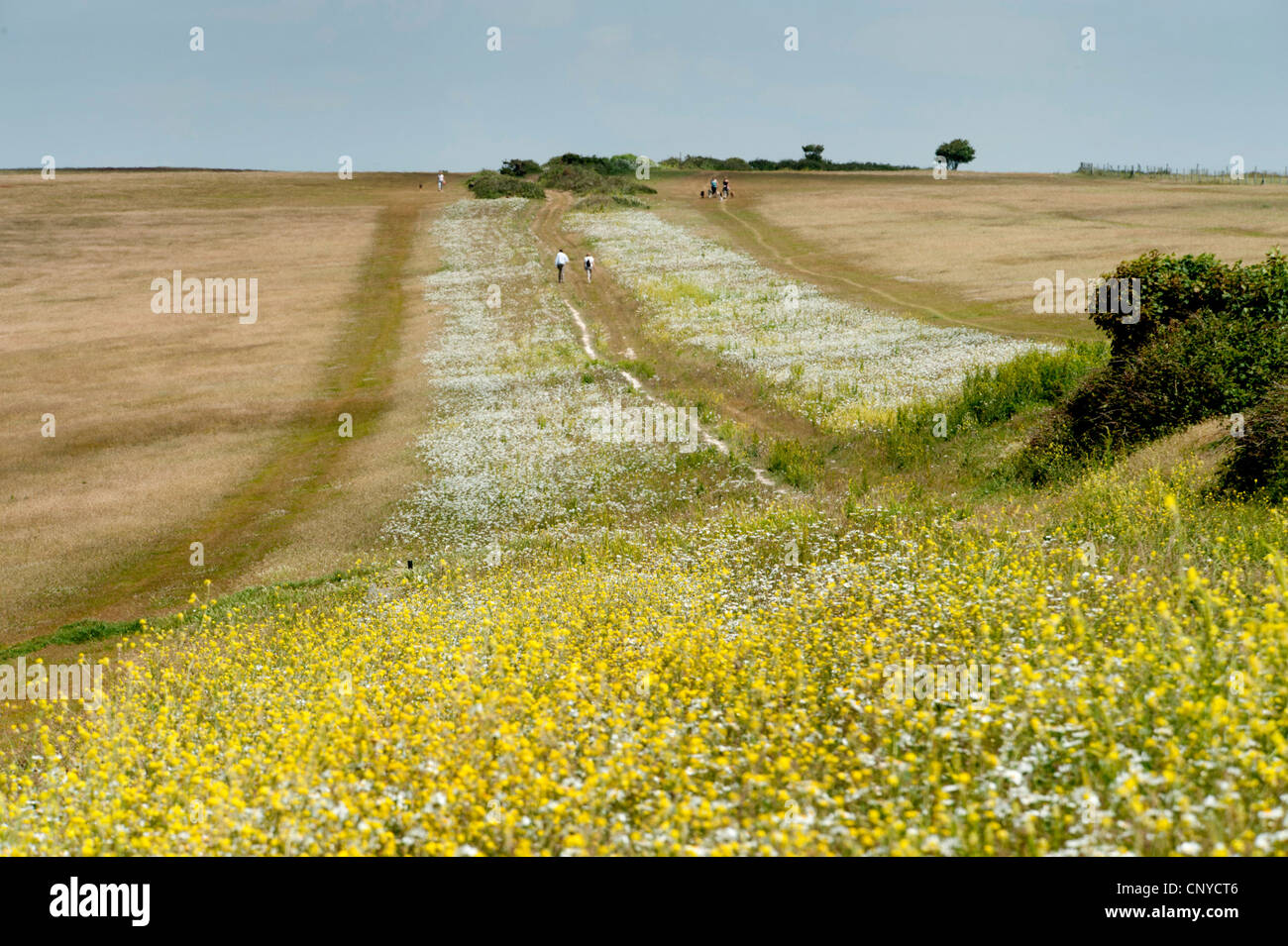 Bunding hi-res stock photography and images - Alamy