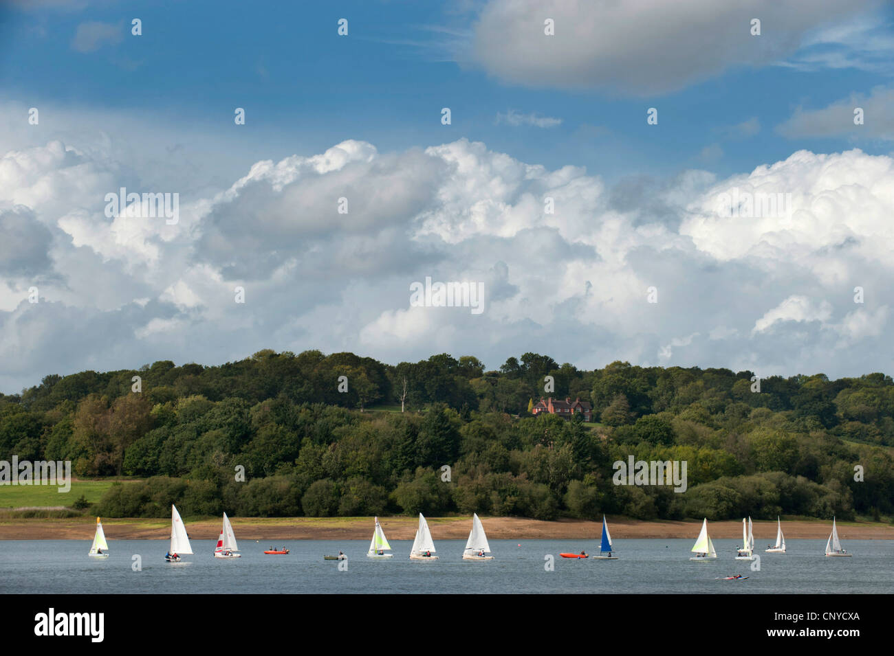 Ardingly reservoir west sussex hi-res stock photography and images - Alamy