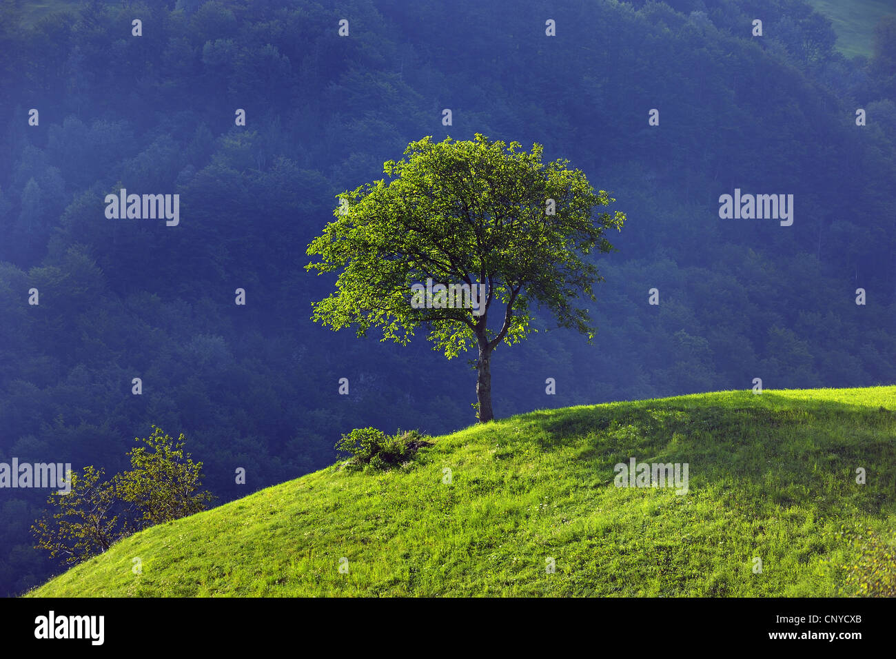 Switzerland r linke landscape hi-res stock photography and images - Alamy