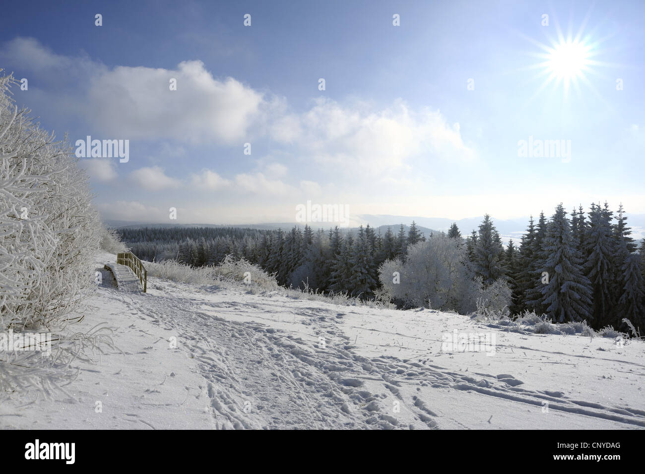 trekking path in snowy landscape, Germany, Hesse, Rhoen, Wasserkuppe ...