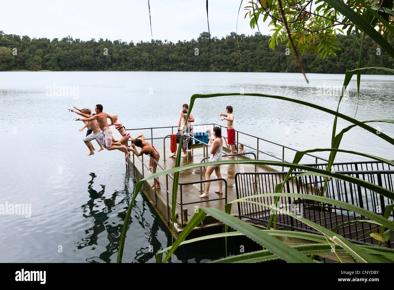 persons jumping in Lake Eacham, Australia, Queensland, Atherton ...
